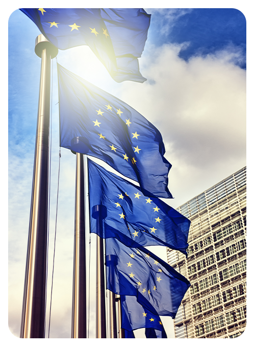 Finsphere: Nov'24 | Market Outlook: Volatility Ahead as US Election ...